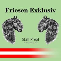 Sport | Friesen Exklusiv